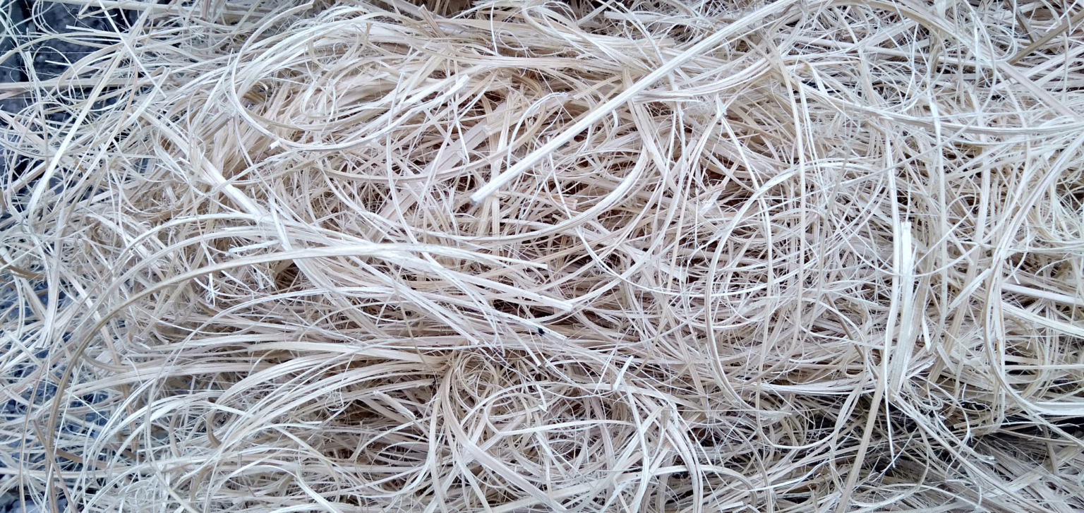 que es el rayon de bambu | Be Bamboo